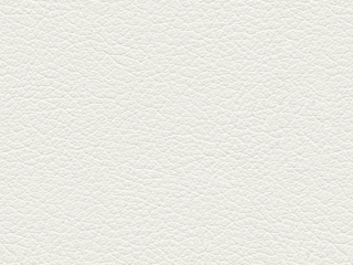 CodeGuppy | Code Editor